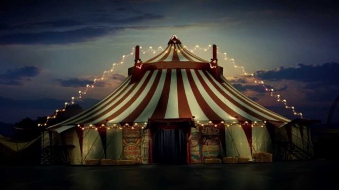 5 Coisas que você não sabia sobre o Circo - ABJ Notícias